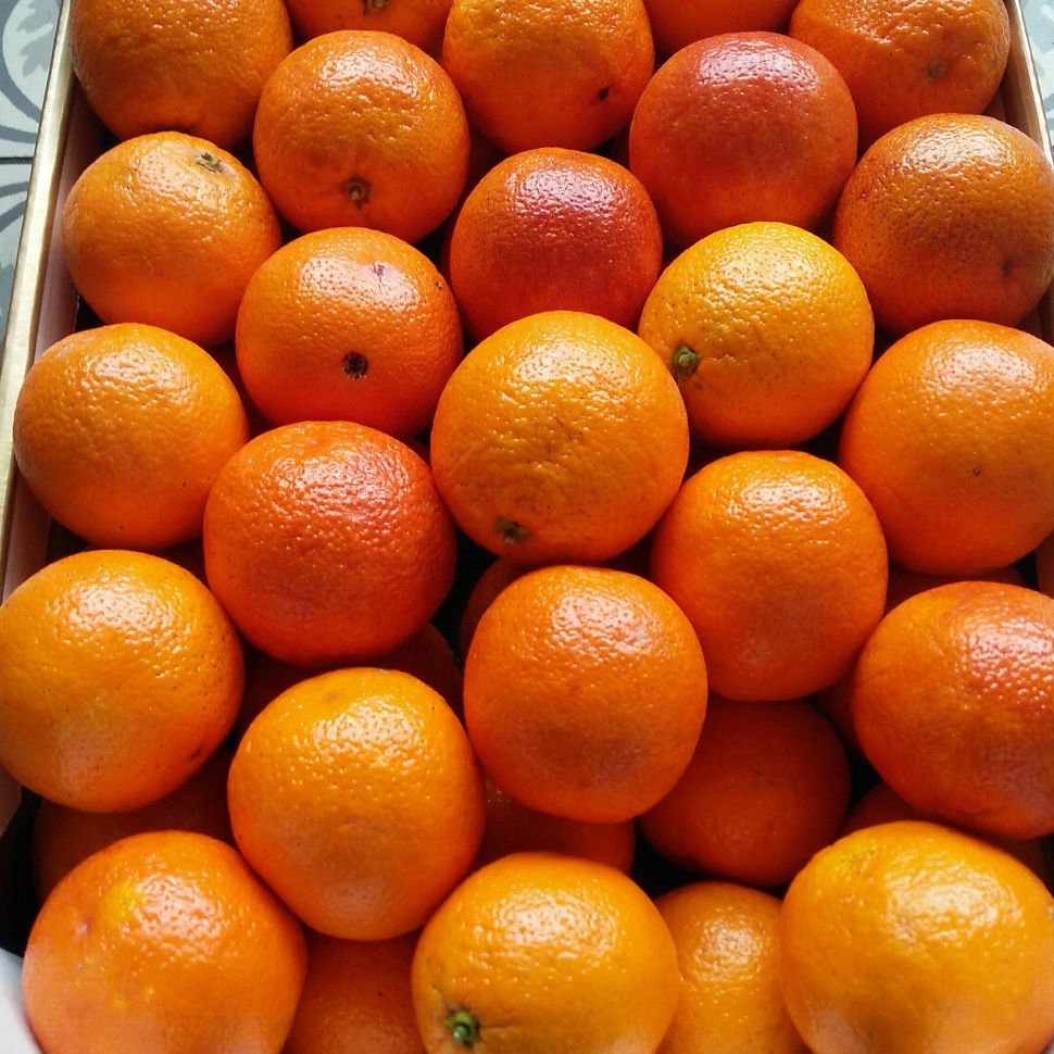 Luxurious Inventive Frozen Delights | Ruby Violet Ice Cream & Sorbet